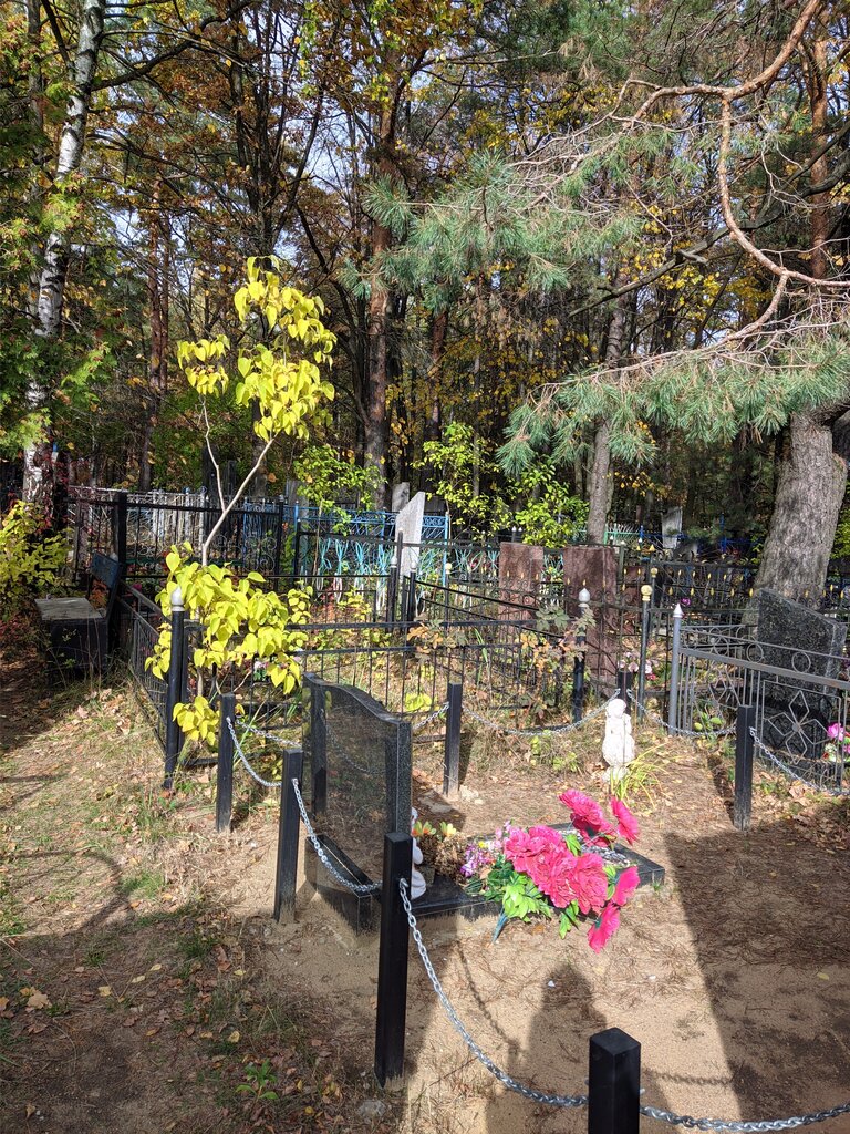 Mezarlıklar Kapishchanskija mogilki, Minskaya oblastı, foto