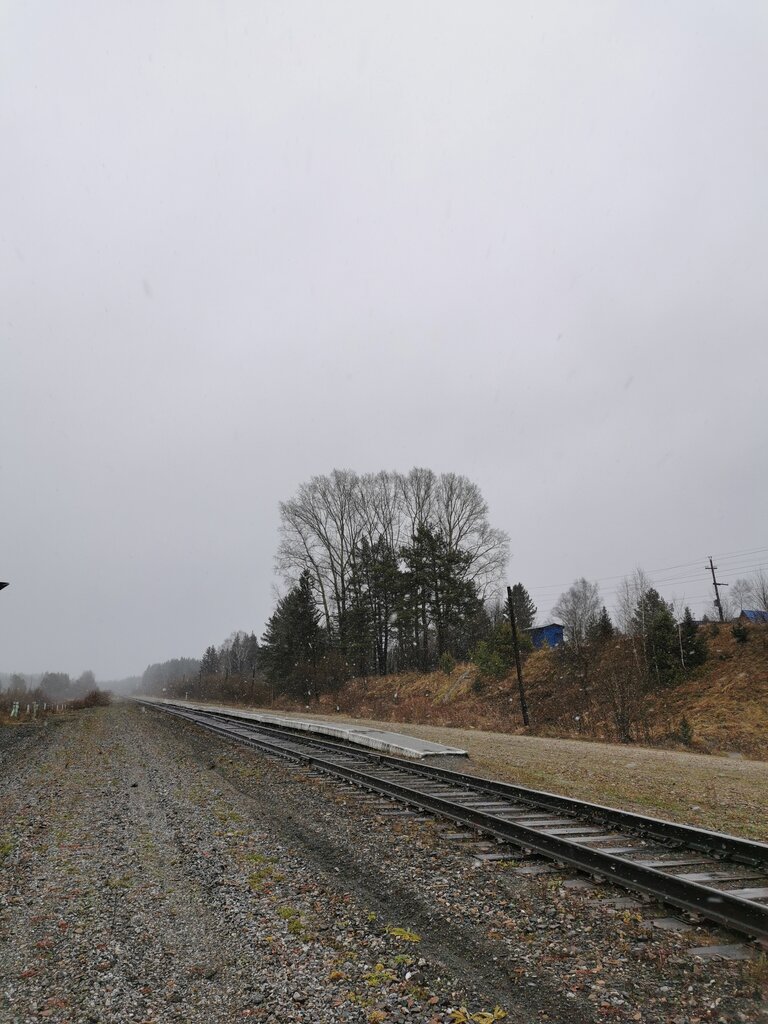 Tren istasyonu остановочный пункт Туган, Tomskaya oblastı, foto