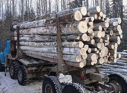 Kereste üretim ve satış şirketleri Ip Chestnova S. O., Bezheck, foto