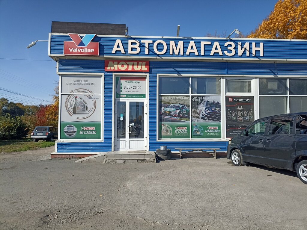 Otomobil servisi Avtolayn, Novosibirsk, foto