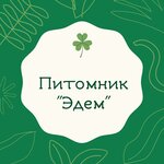 Edem (ulitsa Mira No:21, khutor Leninavan), sera ve bahçe ürünleri  Rostovskaya oblastından