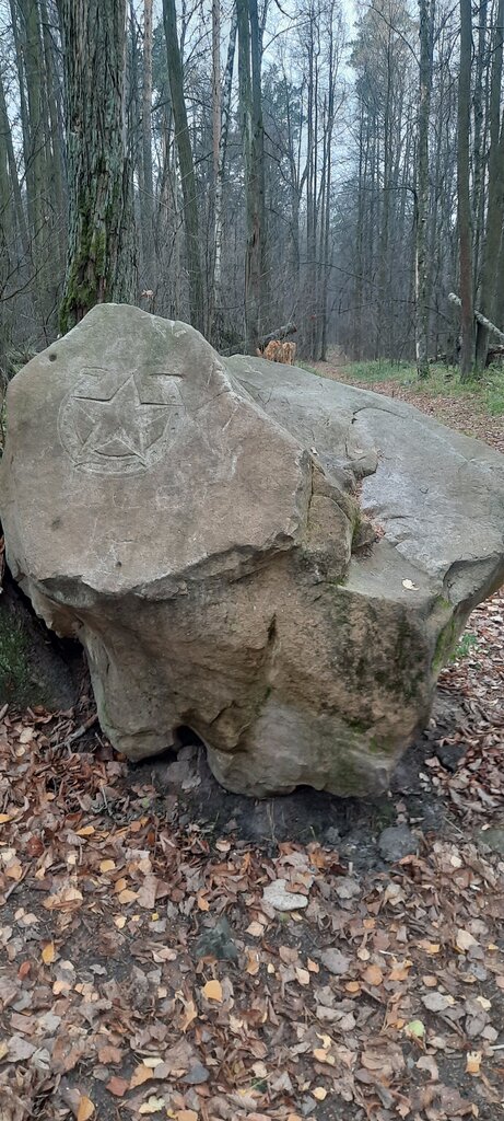 Anıt, heykel Воинам Великой Отечественной войны, Moskova ve Moskovskaya oblastı, foto