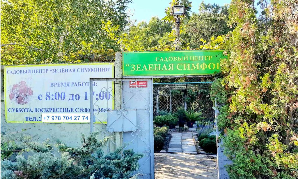 Tohum üretimi Zelenaya Simfoniya, Kırım Cumhuriyeti, foto