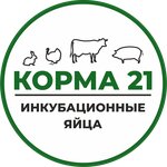 Natural products of the Volga region (ulitsa Mikhaila Milya No:29), kanatlı hayvan ürünleri ve yumurta  Kazan'dan
