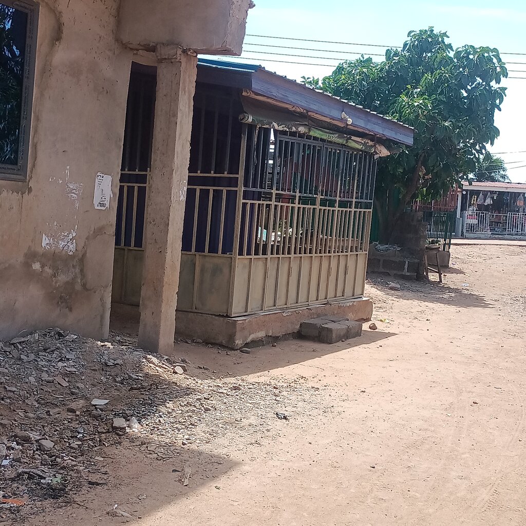 Dondurulmuş gıda firmaları Nyame adom, Dünya, foto