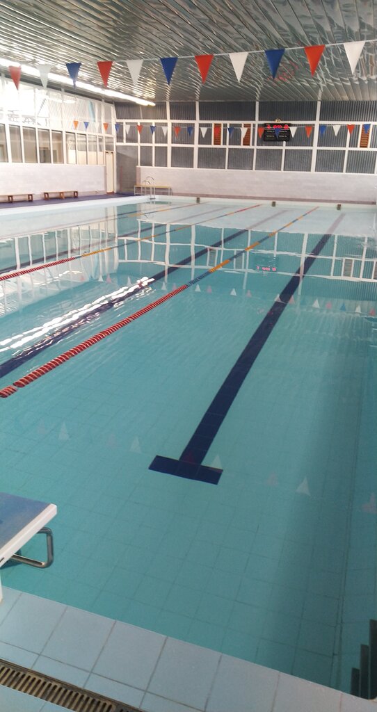 Yüzme havuzları Бассейн, Inta, foto