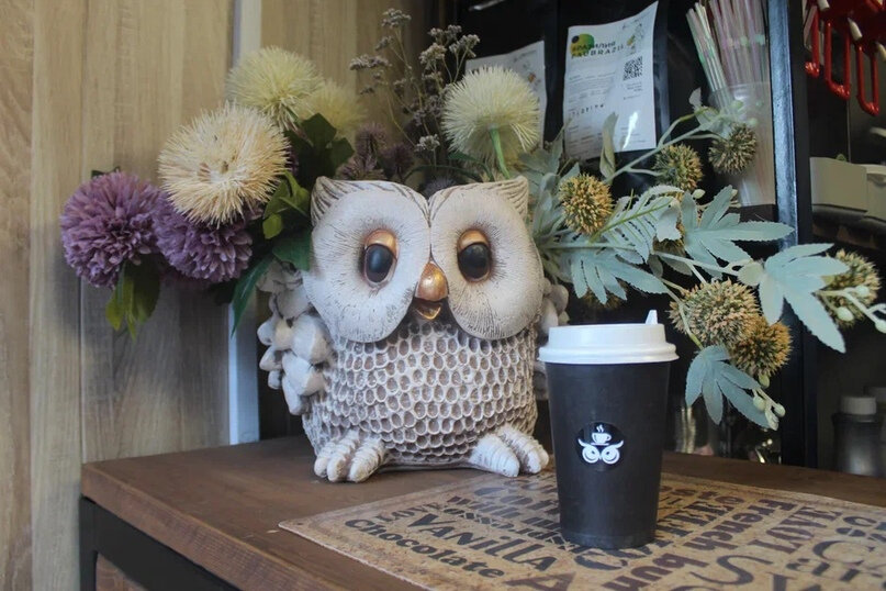 Al götür kahve Coffee with Owl, Buzuluk, foto