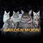 Garden Moon (Turgenevskaya ulitsa No:7Б, mikrorayon Klyazma, Pushkino), evcil hayvan yetiştiricileri  Puşkino'dan