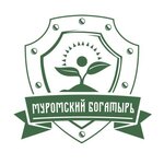 Sadovy pitomnik Fedyashovykh (Sovetskaya ulitsa No:123, selo Lyakhi), fidan yetiştiriciliği  Vladimirskaya oblastından