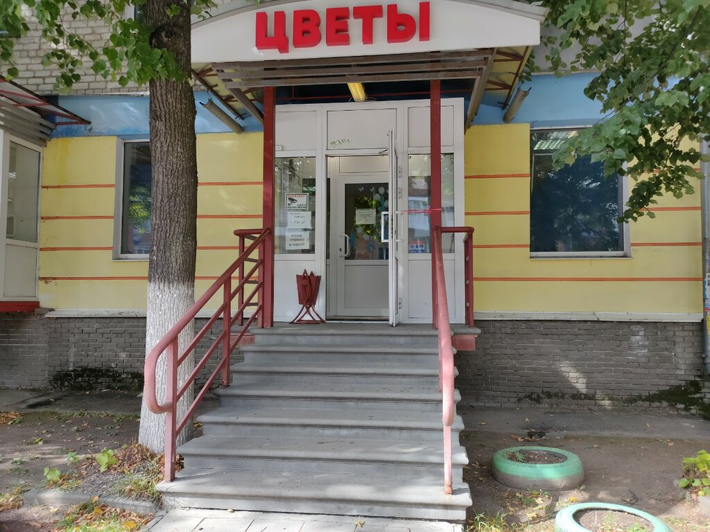 Çiçekçiler Salon Tsvety, Nijni Novgorod, foto