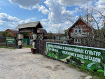 Мичуринские саженцы (Lipetsk Region, Dobrovskiy Municipal District, Village of Kapitanschino, Sovetskaya ulitsa), sera ve bahçe ürünleri  Lipetskaya oblastından