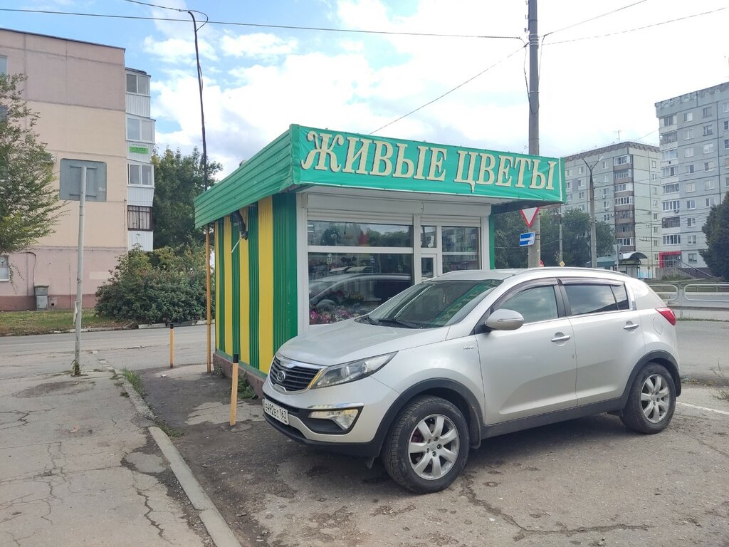 Çiçekçiler Zhivyye tsvety, Novokuybyşevsk, foto