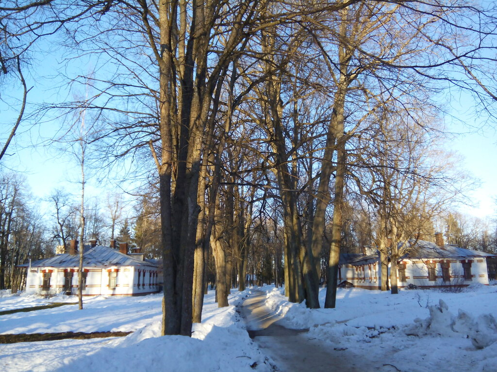 Doğa Липовая аллея, Saint‑Petersburg ve Leningradskaya oblastı, foto