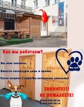 Золотой пёс (Uritskogo Street No:5), evcil hayvan kuaförleri  Kimry'den