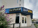 Fresh beer (Isaeva Street No:2), bira dükkanı  Novorossiysk'ten
