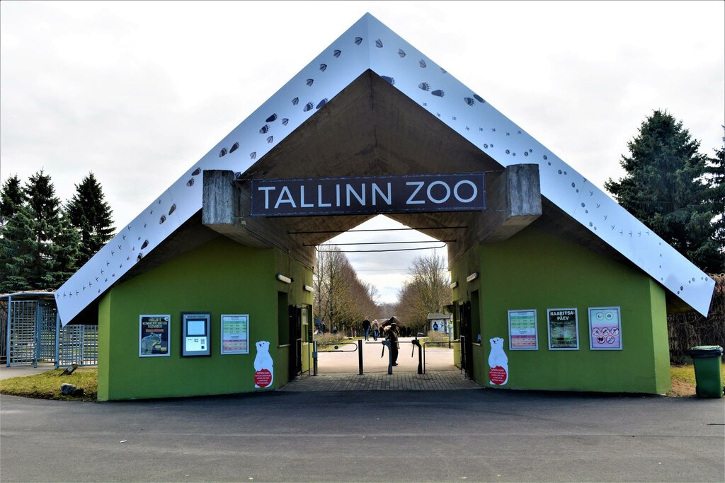 Hayvanat bahçeleri Tallinn Zoo, Tallin, foto