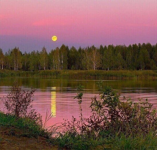 Resort oteller, tesisler База отдыха Булач, Permski krayı, foto