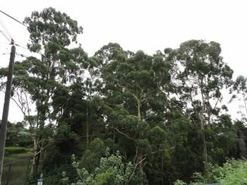 Otel Comfort Inn & Hostel, Nuwara Eliya, foto