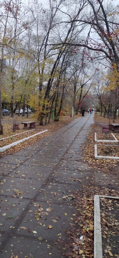 Anıt, heykel Аллея Александра и Владимира Сазоновых, Omsk, foto