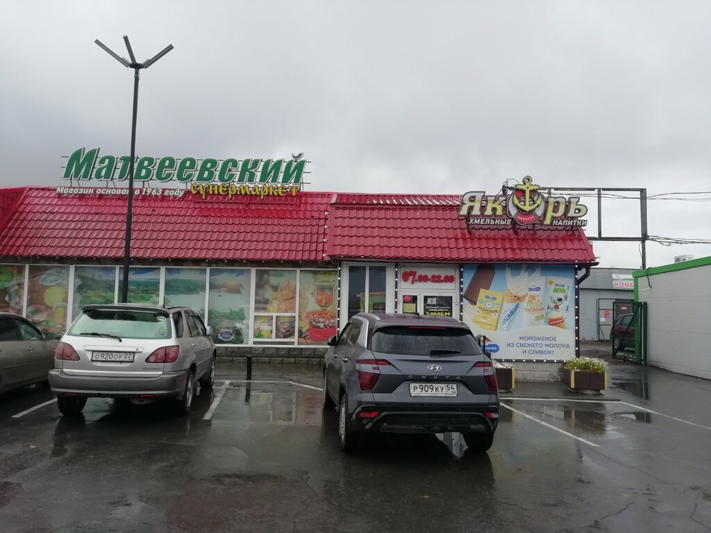 Sera ve bahçe ürünleri Матвеевский, Novosibirsk, foto