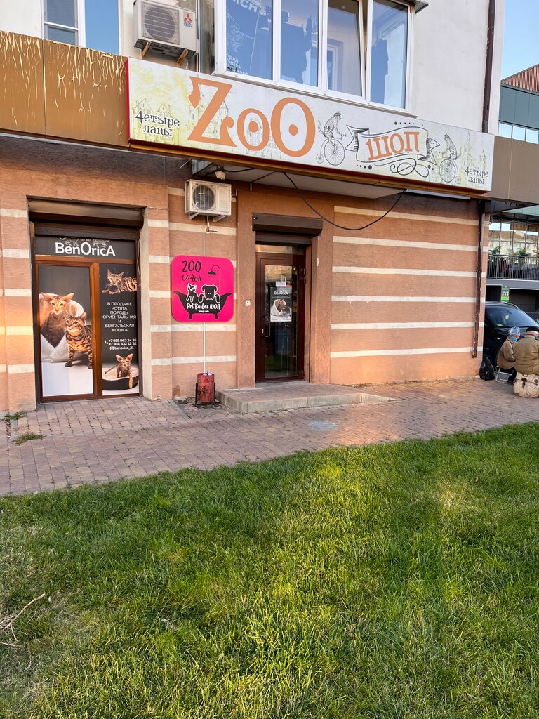 Pet otel Зoo Дом 4етыре Лапы, Novorossiysk, foto