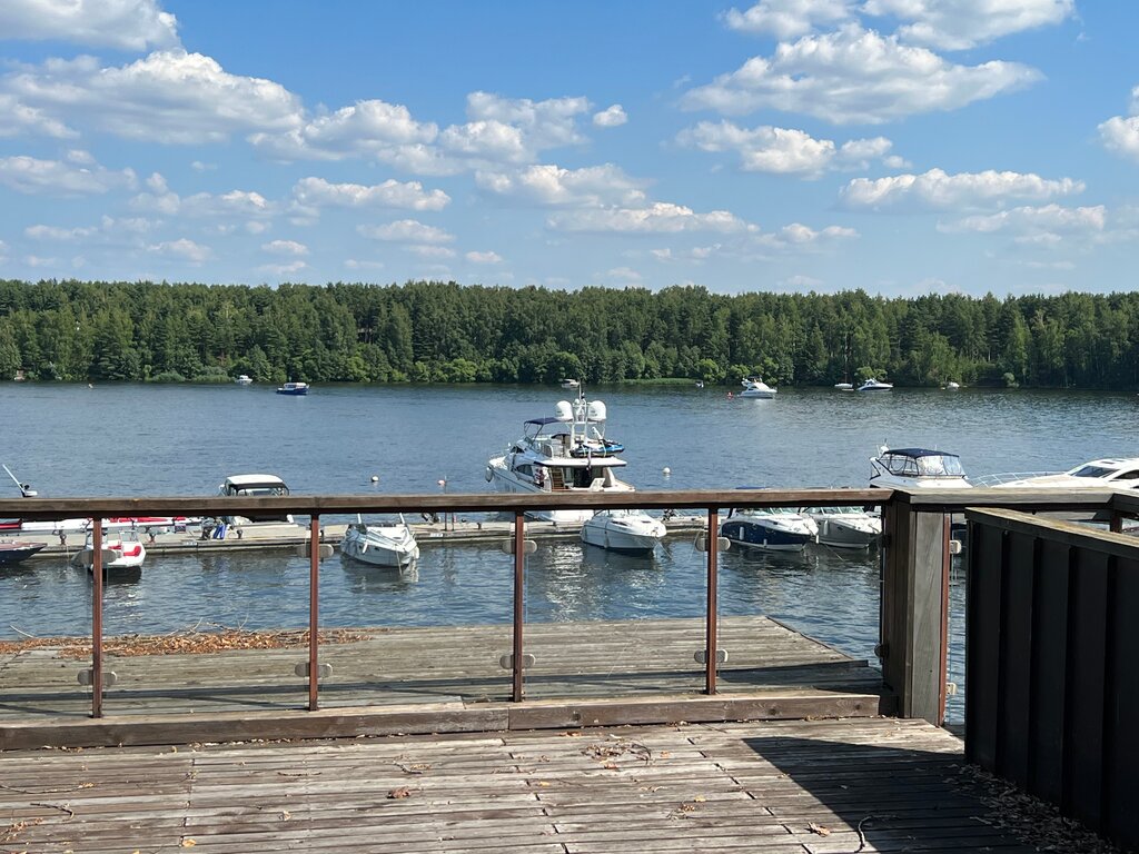 i̇skele Jetty , Moskova ve Moskovskaya oblastı, foto