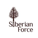 Siberian Force (Bolshaya Pochtovaya Street No:26Вс1), kuruyemiş, atıştırmalık, kuru meyve  Moskova'dan