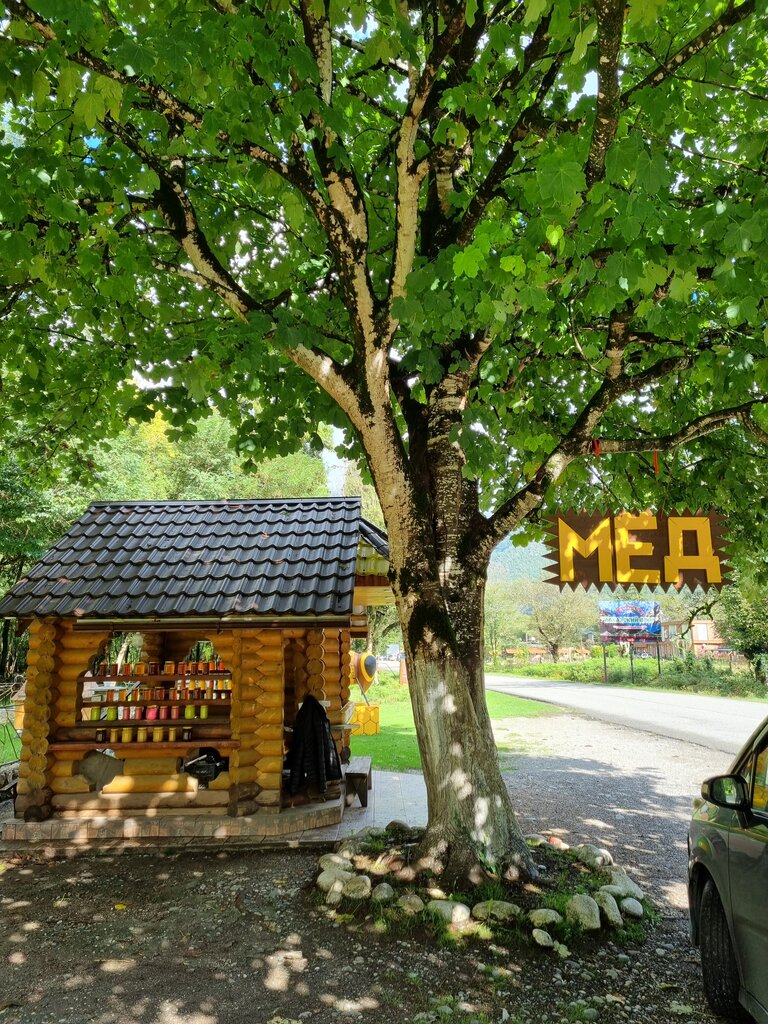 Bal ve arıcılık firmaları Продукты пчеловодства, Gagra Bölgesi, foto