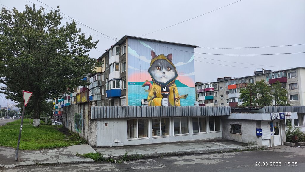 Sokak sanatı Граффити Кот Бенедикт, Petropavlovsk, foto