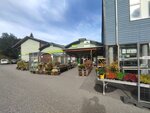 Landi Prima Grindelwald (Schwyz, March, Wägitalstrasse, 4), süpermarket  Grindelwald'den