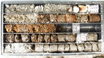 Geo3 - Geologia Applicata (Via Julius Durst No:66, Varna), arama çalışmaları
