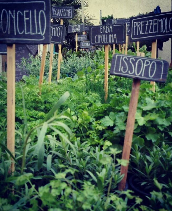 Sera ve bahçe ürünleri Azienda Agricola Davide Bacci, Ligurya, foto