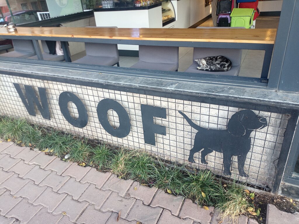 Petshop Patizim Coffee & Friendship, Antalya, foto