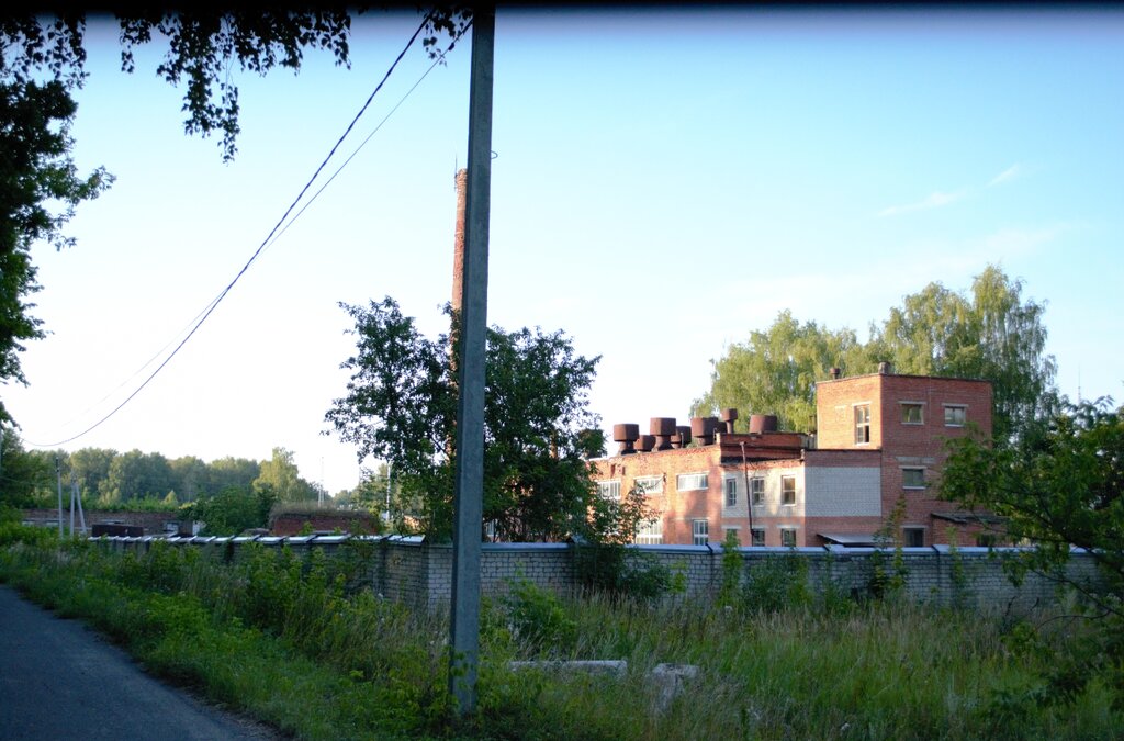 Orman Atemarsky Forest, Mordovya, foto