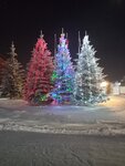 ЛУКОЙЛ-АЭРО-Восток (ulitsa Andreya Tupoleva No:11, posyolok Novoroshchino), petrol ve gaz firması  Tiumen'den