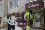 Kaufmann (Mira Street No:20А), bira dükkanı  Kolçugino'dan