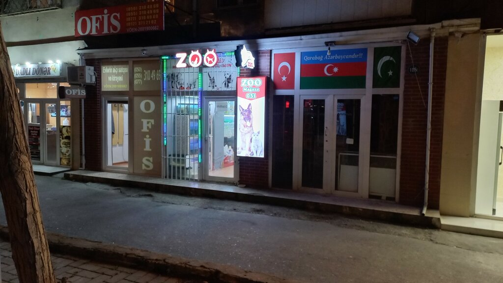 Petshop Zoo 51, Bakü, foto