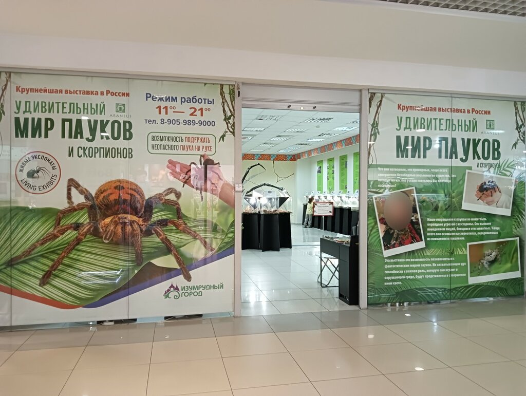 Hayvanat bahçeleri Удивительный мир пауков, Tomsk, foto