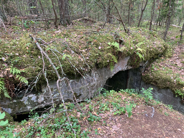 Turistik yerler Малое убежище с бронекуполом № 26, Saint‑Petersburg ve Leningradskaya oblastı, foto