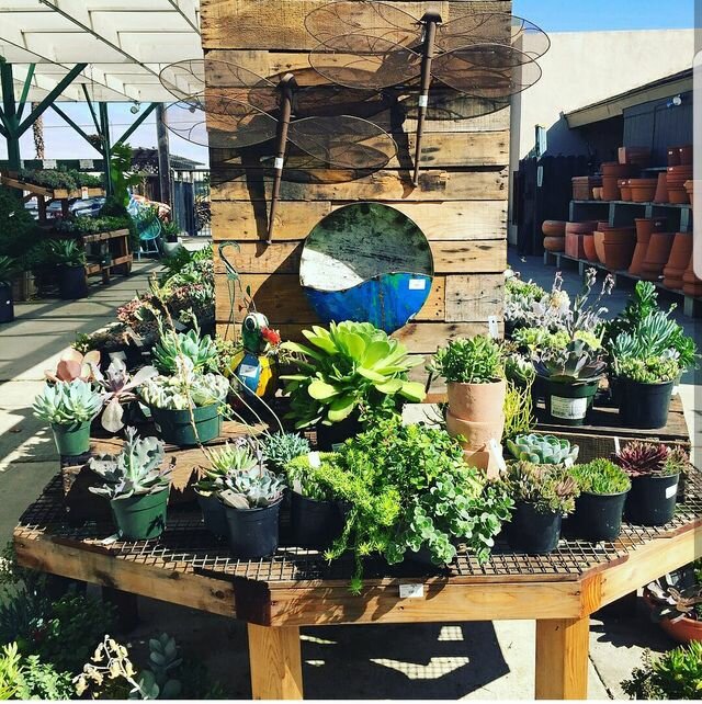 Bahçe ekipmanları ve teknolojileri Johnson Garden Center, Kaliforniya Eyaleti, foto