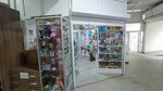 Цветы шары (No:31, derevnya Chasovenskoye), çocuk mağazaları  Arhangelskaya oblastından