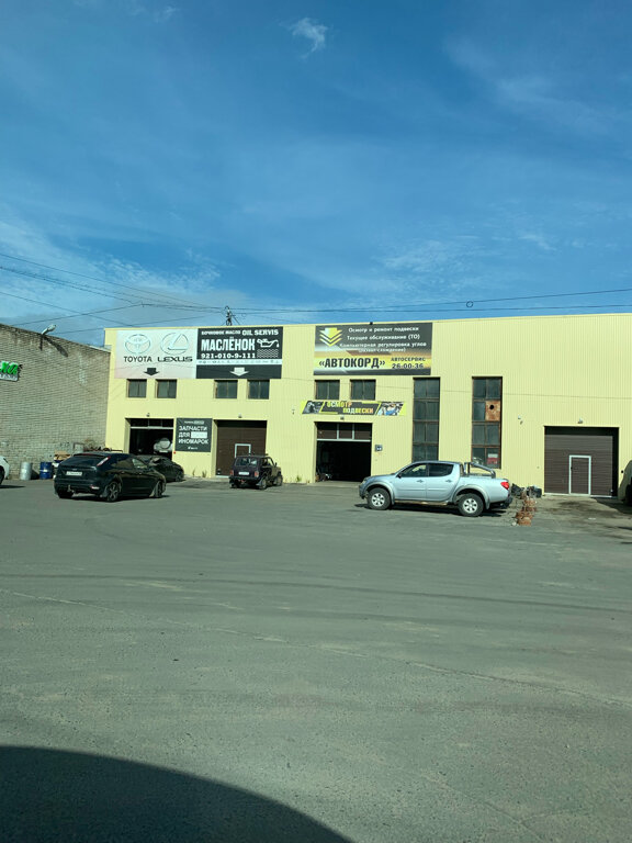 Otomobil servisi Маслёнок, Petrozavodsk, foto