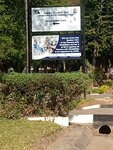 Zambia Agency for Personal With Disabilities (Lusaka, Kabulonga), sosyal yardım kuruluşları  Lusaka'dan