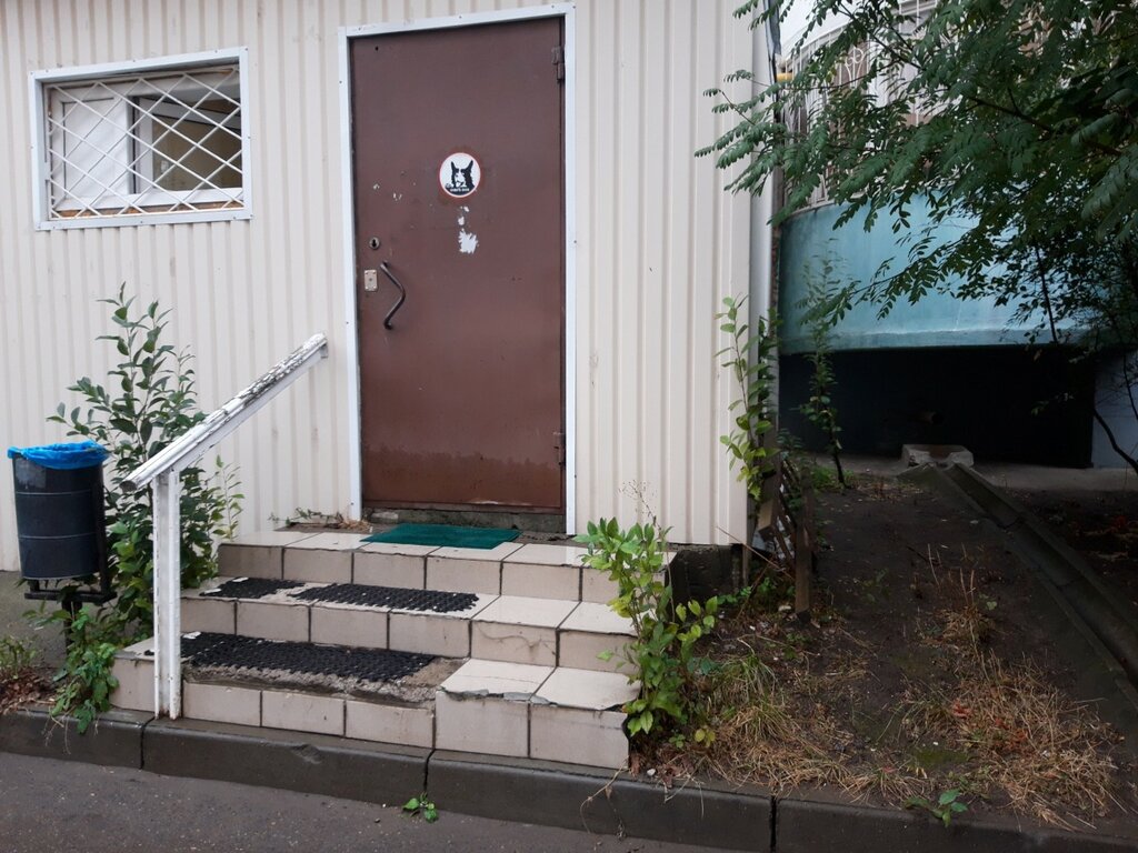 Petshop Chef's Dog, Kazan, foto