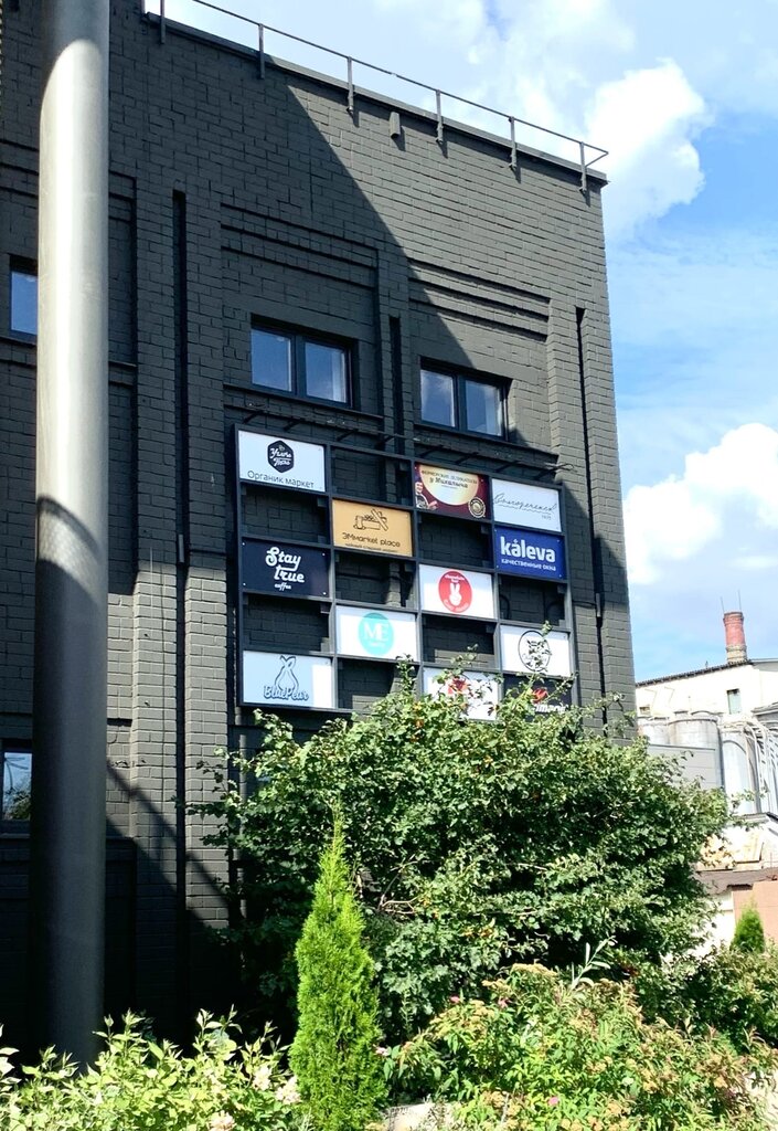 Cep telefonu aksesuarları BluePear, Yaroslavl, foto