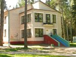 Факел (munitsipalnoye obrazovaniye Smolensk, Zadneprovskiy rayon), yaz kampı  Smolensk'ten