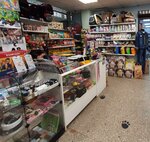 Family Shop (ulitsa Malysheva No:37, mikrorayon Tarmany), çocuk oyunları ve oyuncakları  Tiumen'den
