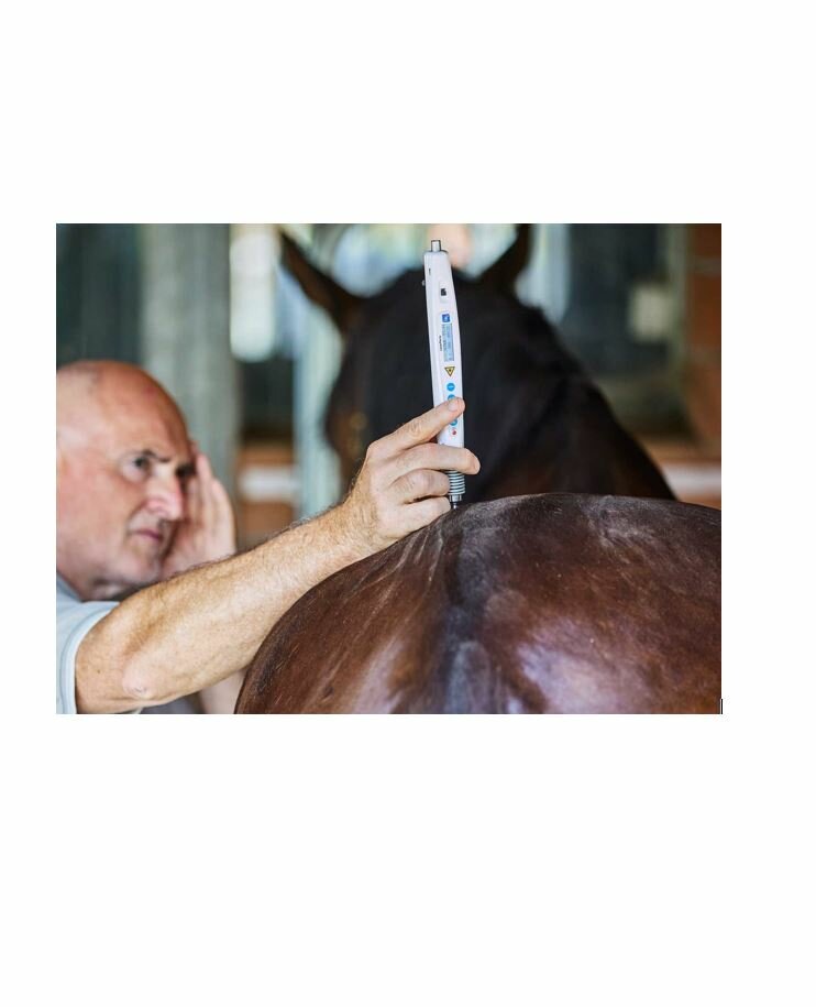 Veteriner klinikleri Chiron Vet GmbH, Nidwalden, foto