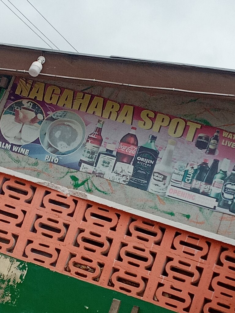 Bar Nagahara Spot, Dünya, foto