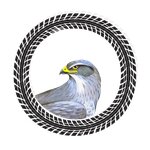 Lanner (Avtokombinatovskaya ulitsa No:5А, Saratov), otobüs taşımacılığı  Saratov'dan